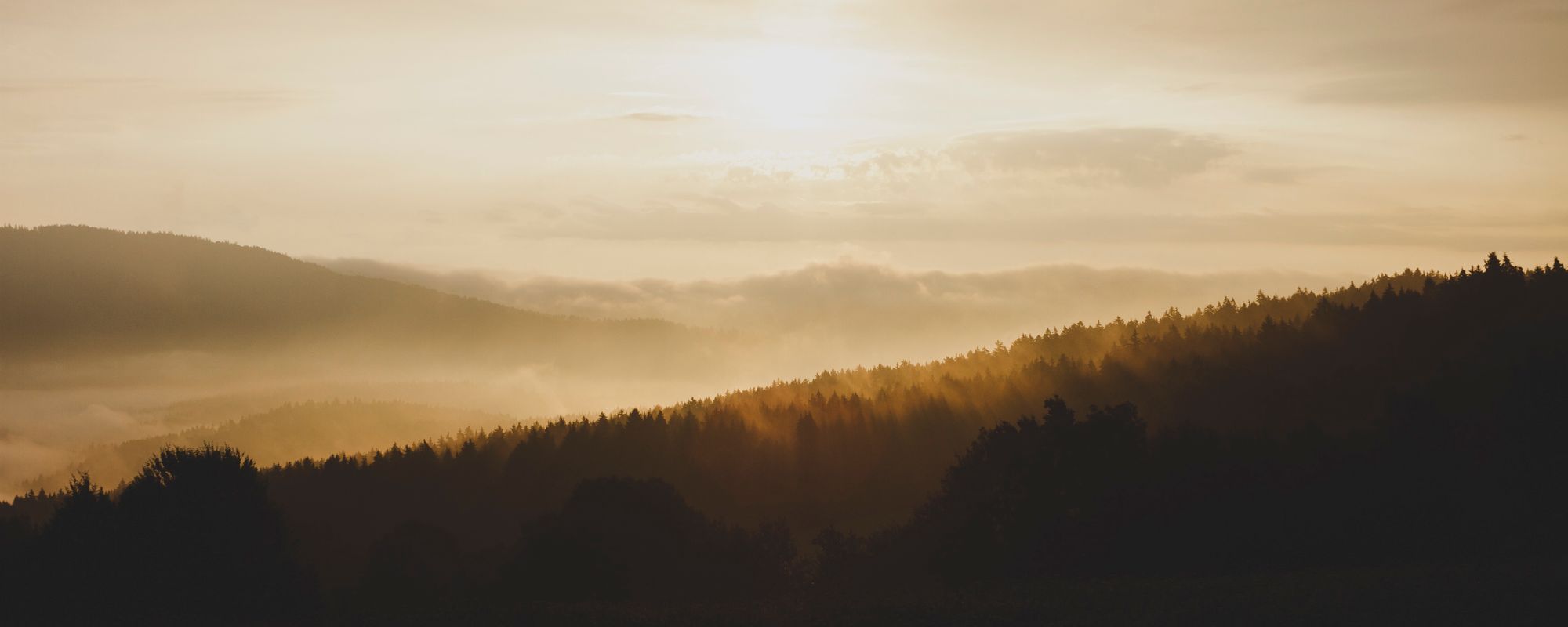 Colorado Fly Fishing Books & DVDs by Professional Guide, Pat Dorsey