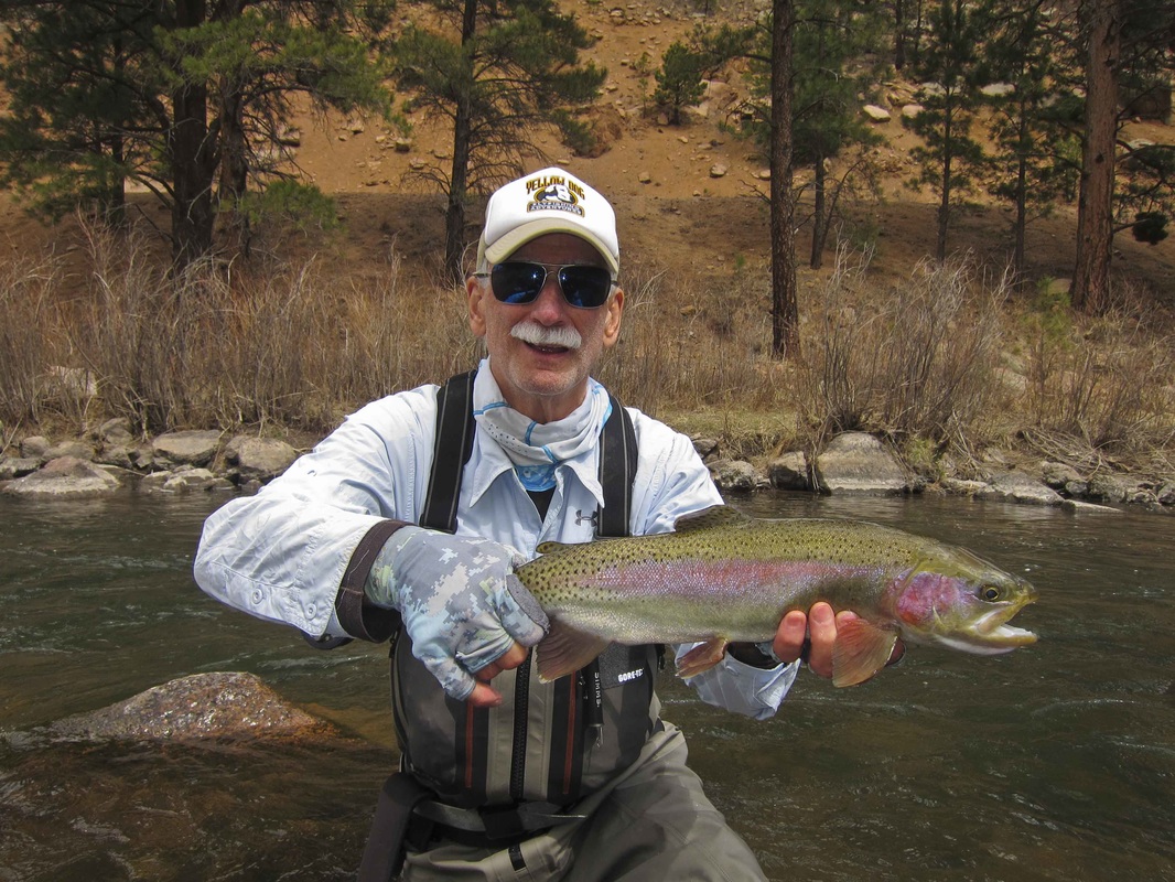 It's Blue-Winged Olive Time - Pat Dorsey Fly Fishing