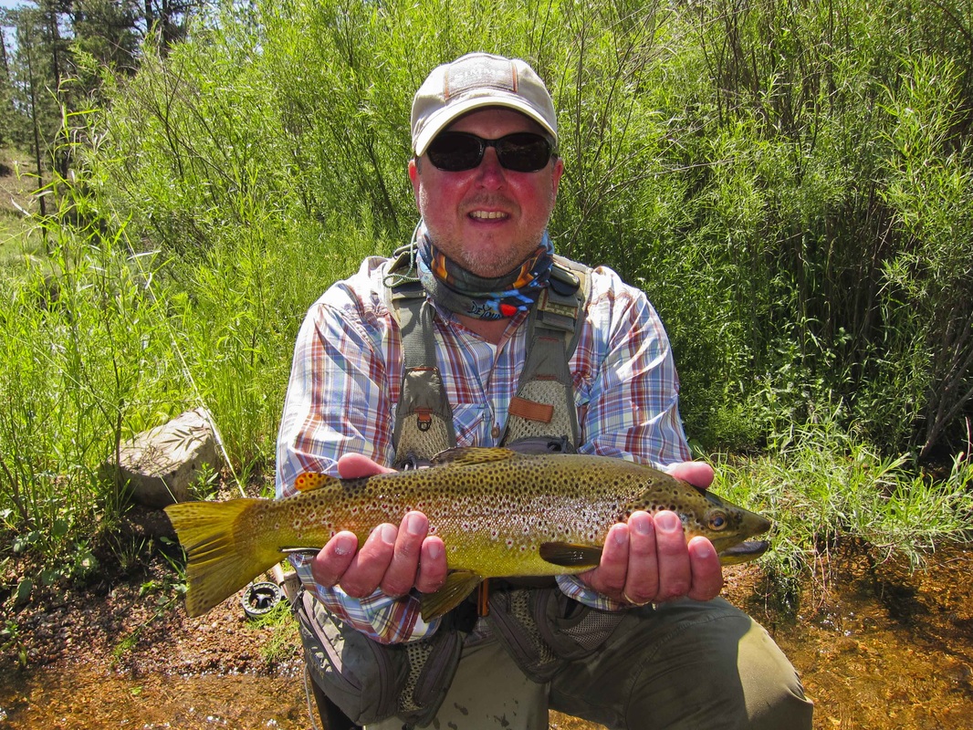 Fish of the Week - Pat Dorsey Fly Fishing