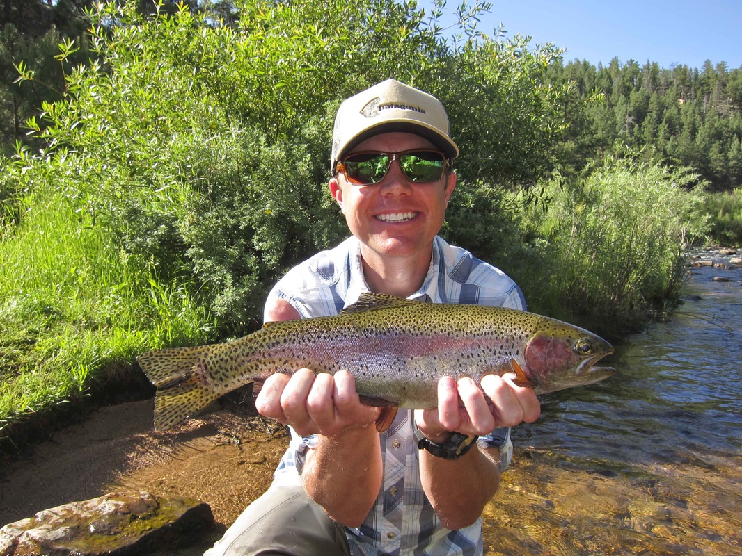 Fish Of The Week - Pat Dorsey Fly Fishing