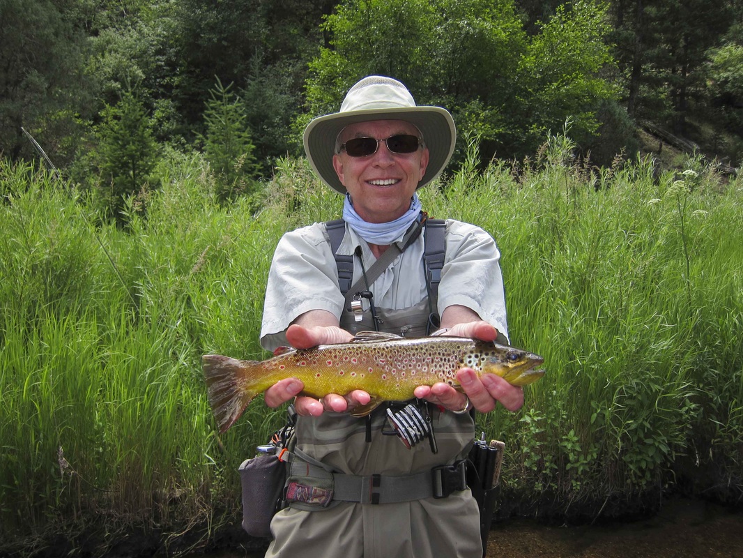 It's PMD Time! - Pat Dorsey Fly Fishing