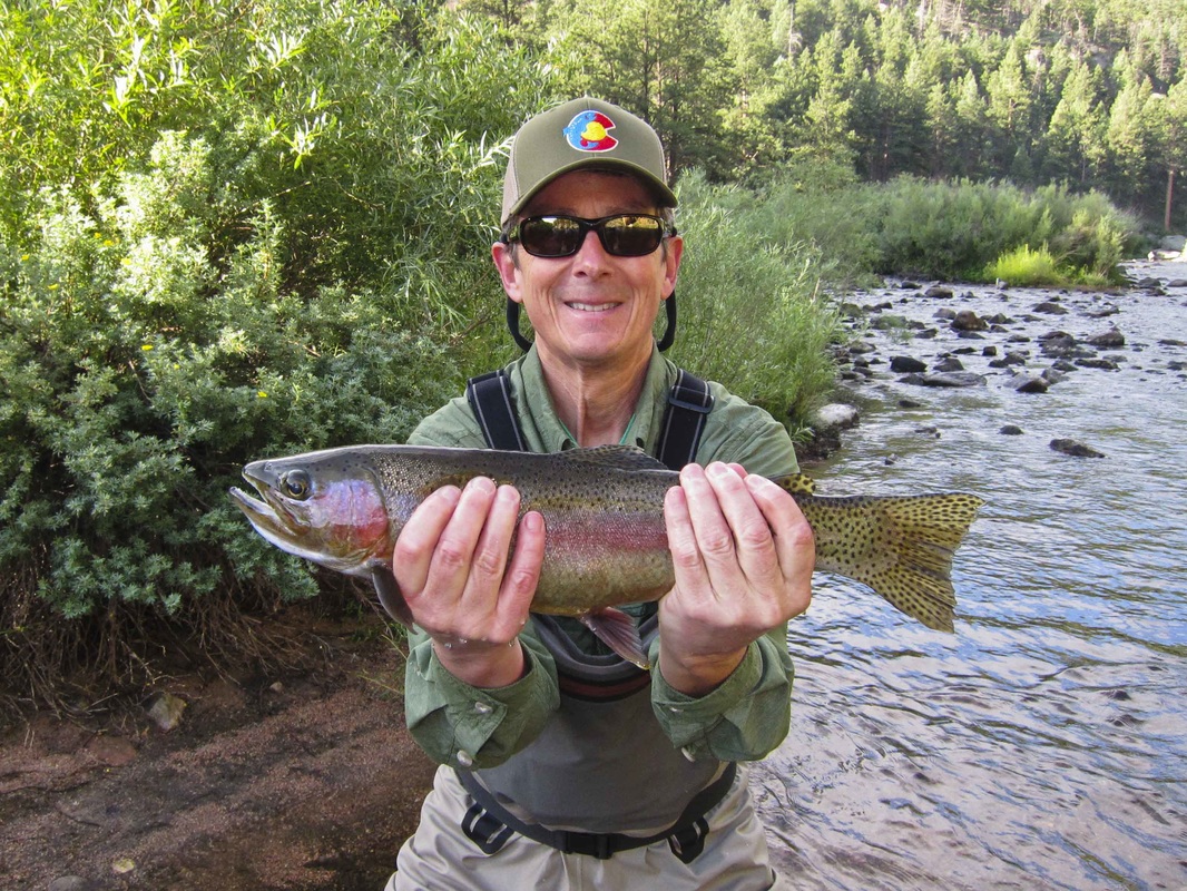 Fish of the Week - Pat Dorsey Fly Fishing
