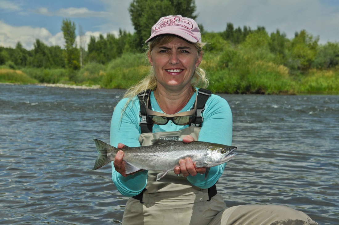 Poor Man's Alaska - Pat Dorsey Fly Fishing