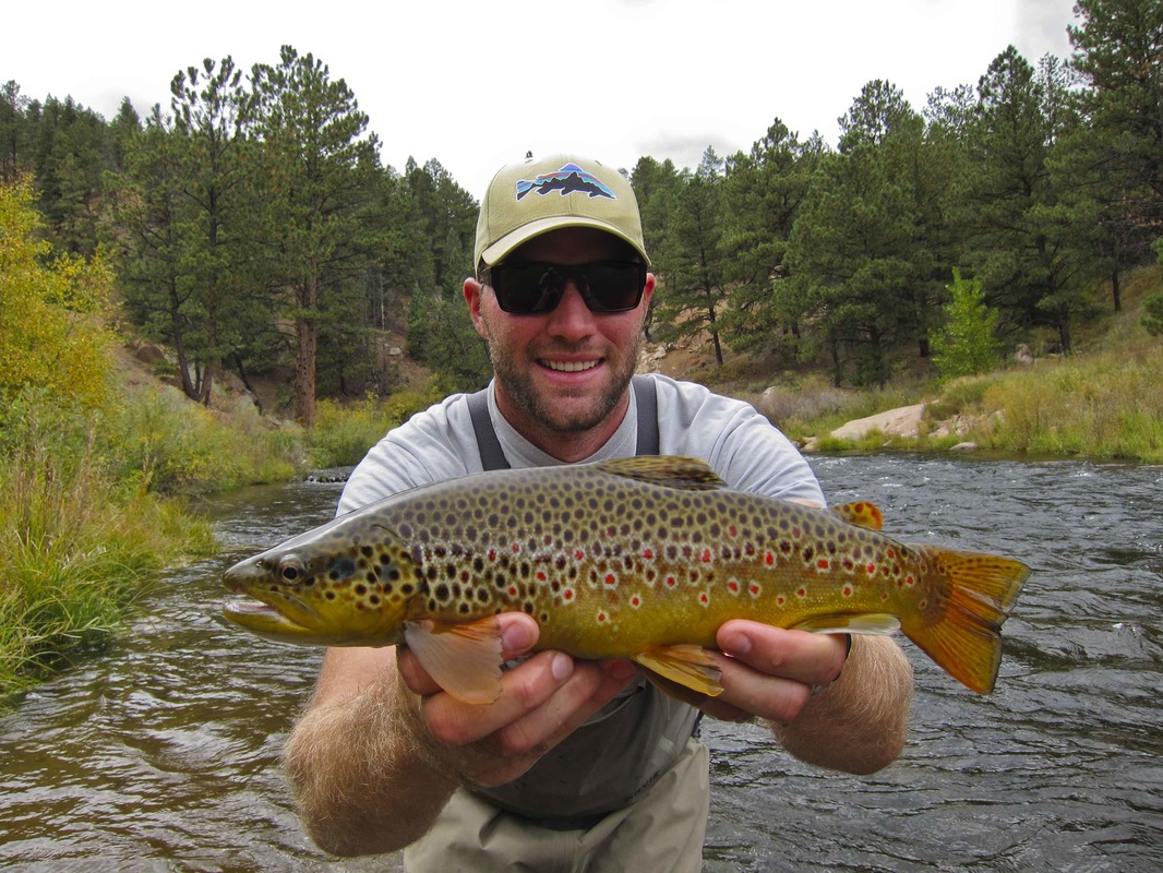 Autumn Opportunities - Pat Dorsey Fly Fishing