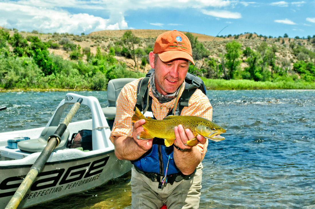 Dry or Die - Pat Dorsey Fly Fishing