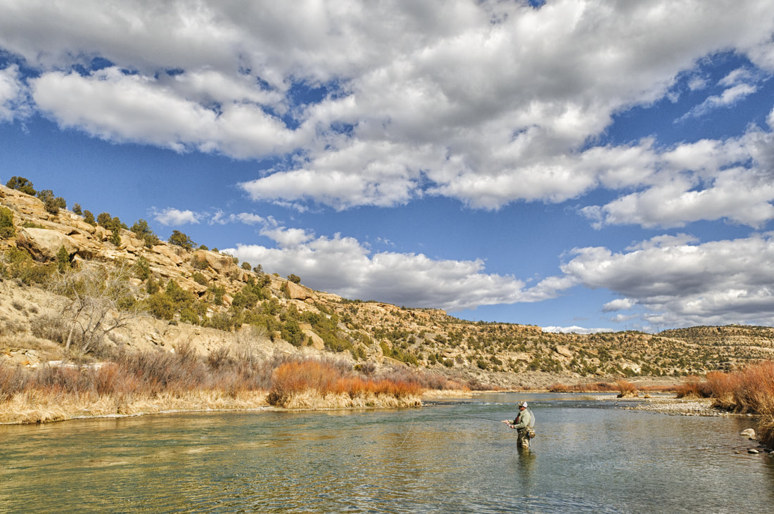 The Mighty San Juan River - Pat Dorsey Fly Fishing
