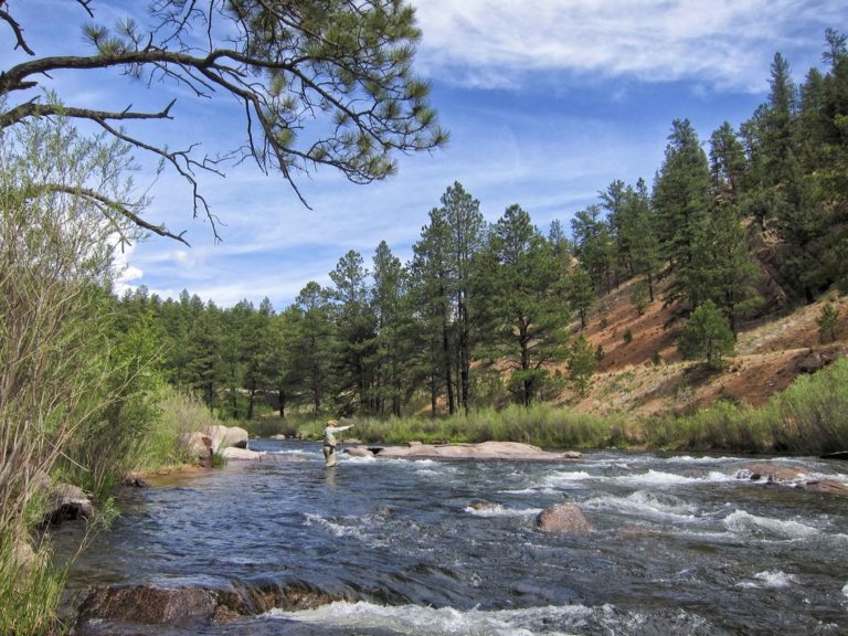 South Platte Fishing Report & Information for Deckers by Pat Dorsey