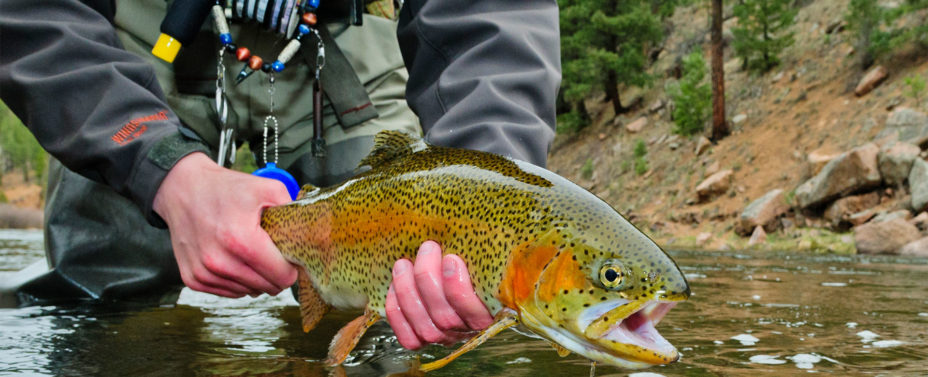 Colorado Fly Fishing with Sponsored Guide & Author Pat Dorsey