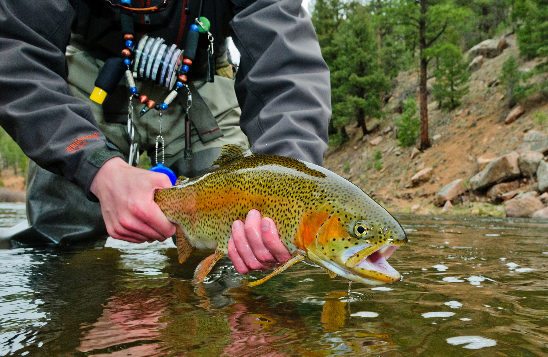 _PD20903 - Pat Dorsey Fly Fishing