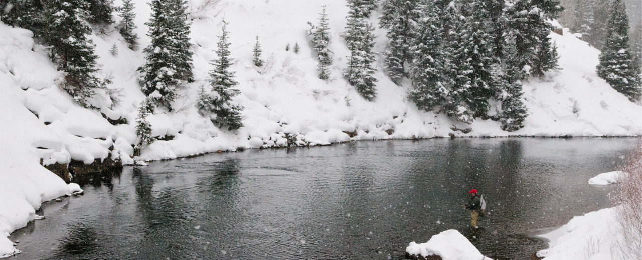 Colorado Fly Fishing with Sponsored Guide & Author Pat Dorsey