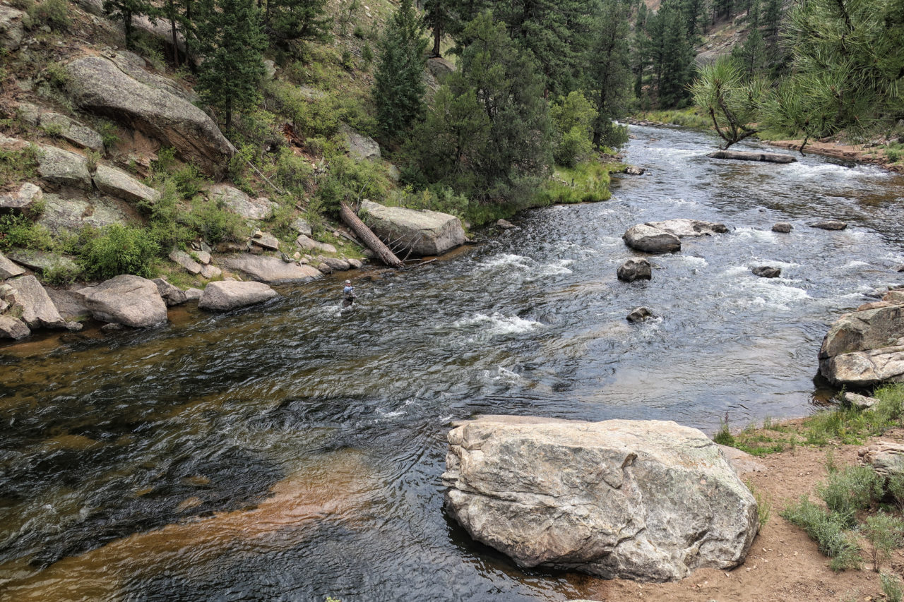 Cheesman Canyon Sediment Update - Pat Dorsey Fly Fishing