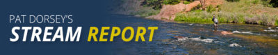 Pat Dorsey's Stream Report | Fly Fishing Information for Colorado