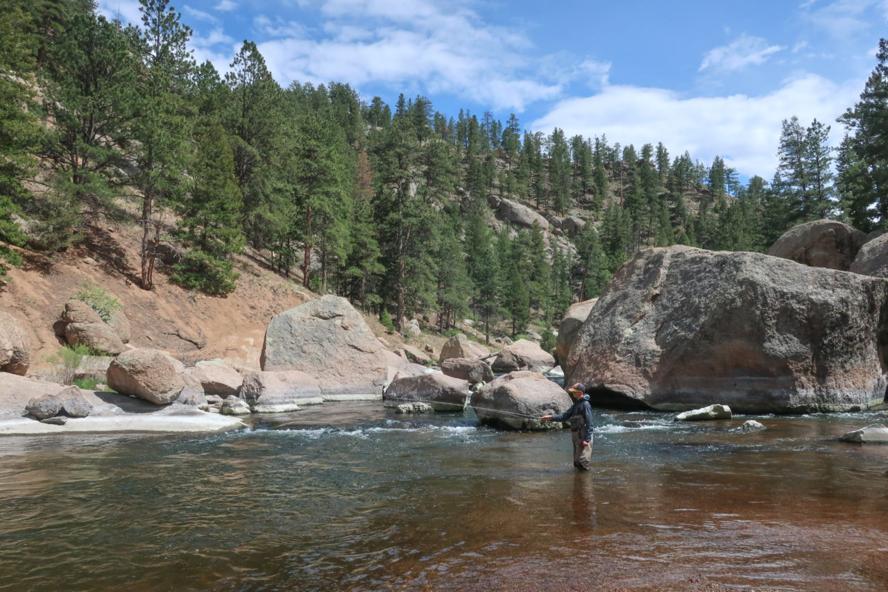 South Platte River Update - Pat Dorsey Fly Fishing