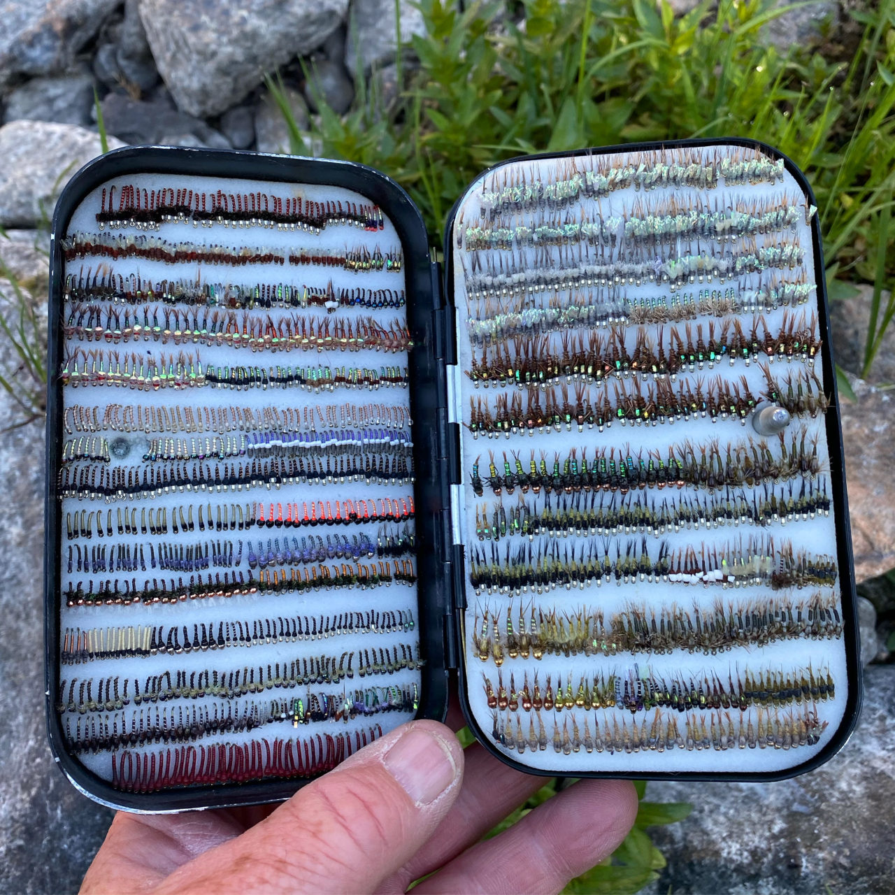 The Pat Dorsey Colorado Fly Fishing Blog with Tips, Conditions & More