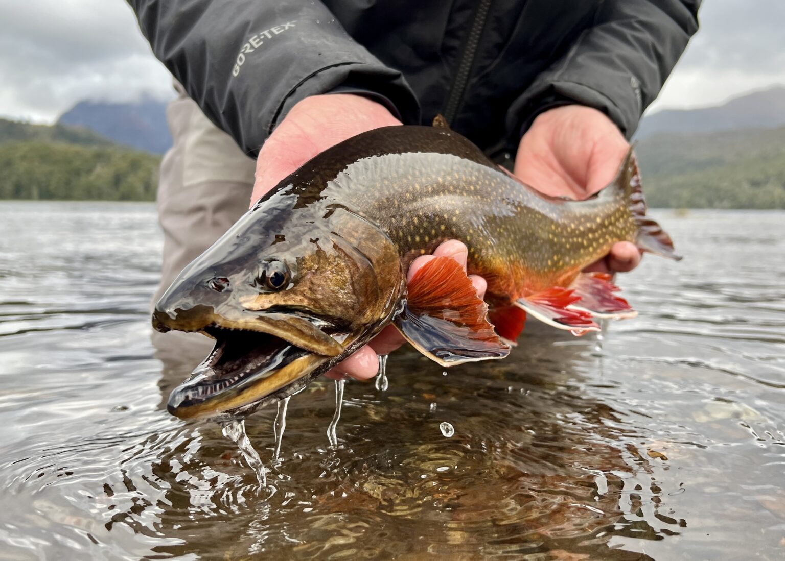 Travel the World with the Blue Quill Angler - Pat Dorsey Fly Fishing